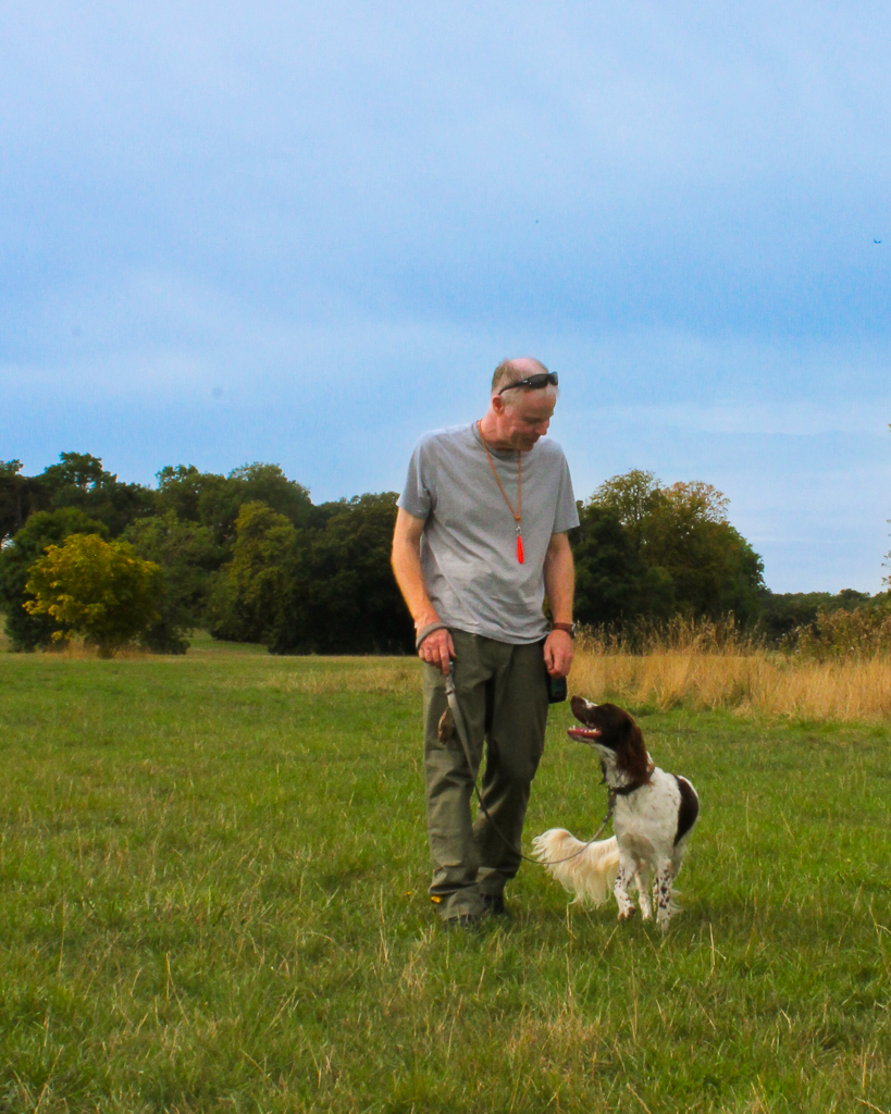 dog training - Dog Citizen - one to one personalised training - Essex